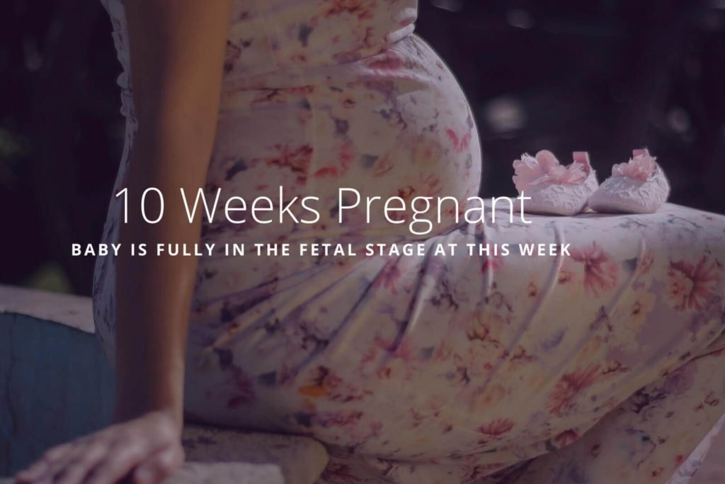 10 Weeks Pregnant: Key Developments in Your Pregnancy Journey – Babies ...