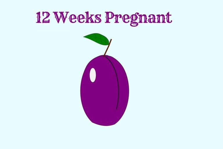 12 Weeks Pregnant: Key Developments in Your Baby’s Growth – Babies Carrier