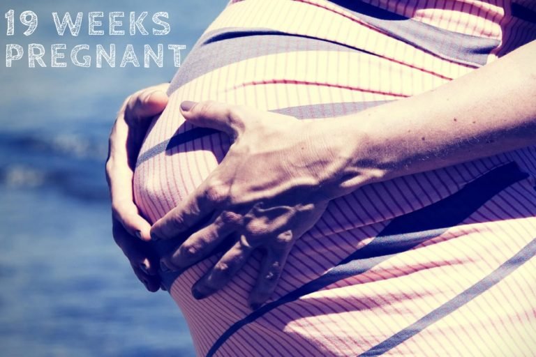 Navigating Week 19 Tips For A Comfortable Pregnancy Babies Carrier