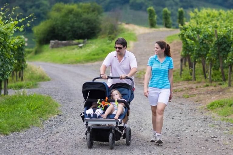 Finding Your Perfect Fit: The Best Double Jogging Strollers Reviewed ...