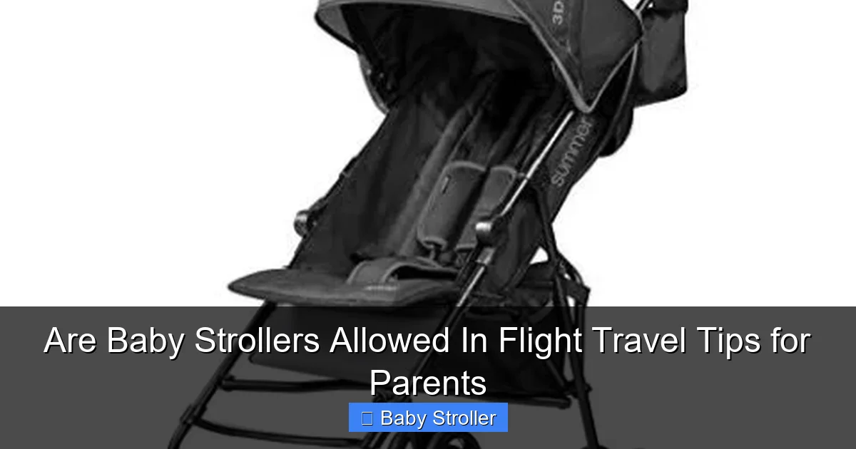 Are Baby Strollers Allowed In Flight Travel Tips for Parents – Babies ...