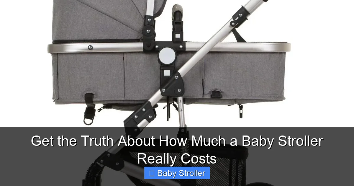 Get the Truth About How Much a Baby Stroller Really Costs – Babies Carrier