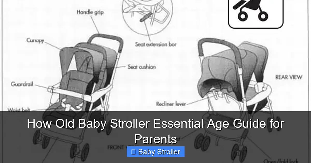 How Old Baby Stroller Essential Age Guide for Parents – Babies Carrier