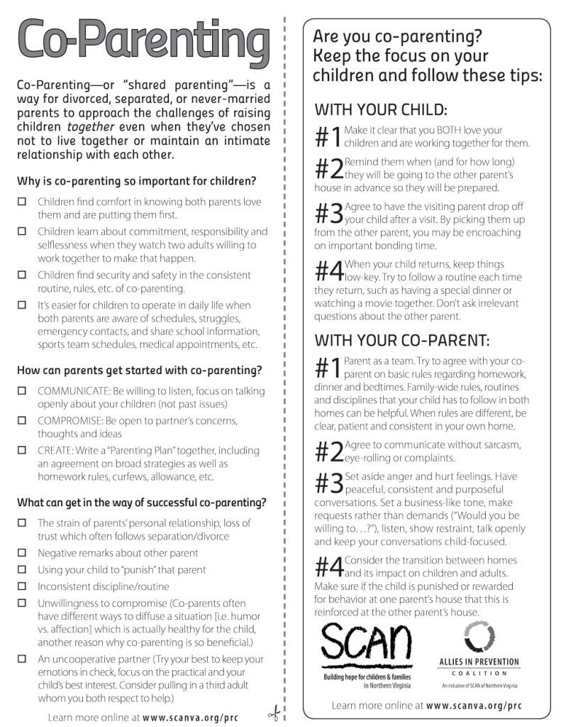 What is Co Parenting: A Comprehensive Guide for Modern Families ...